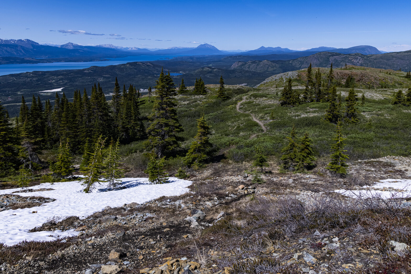 Monarch Mountain Trail near Atlin, B.C. - SteveSilva.ca